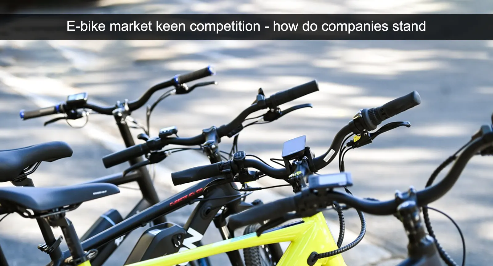 E-bike market keen competition - how do companies stand