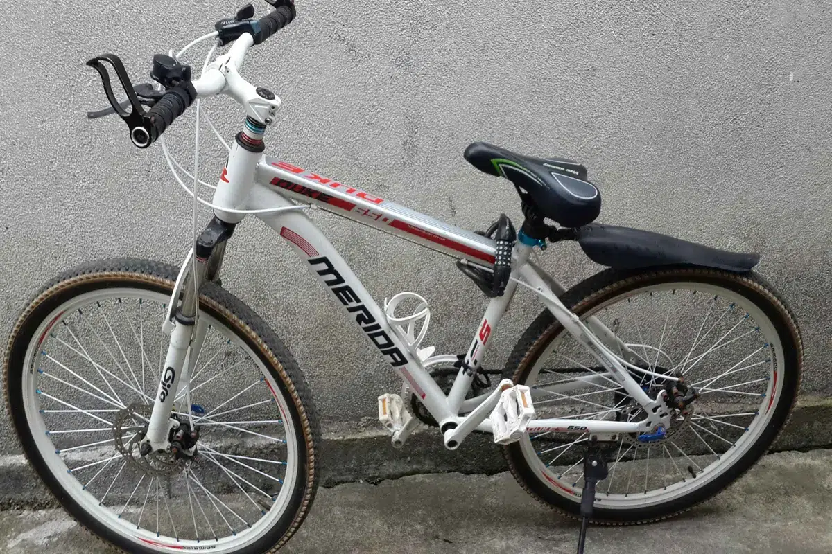 Who are the top 10 electric bike manufacturers in China