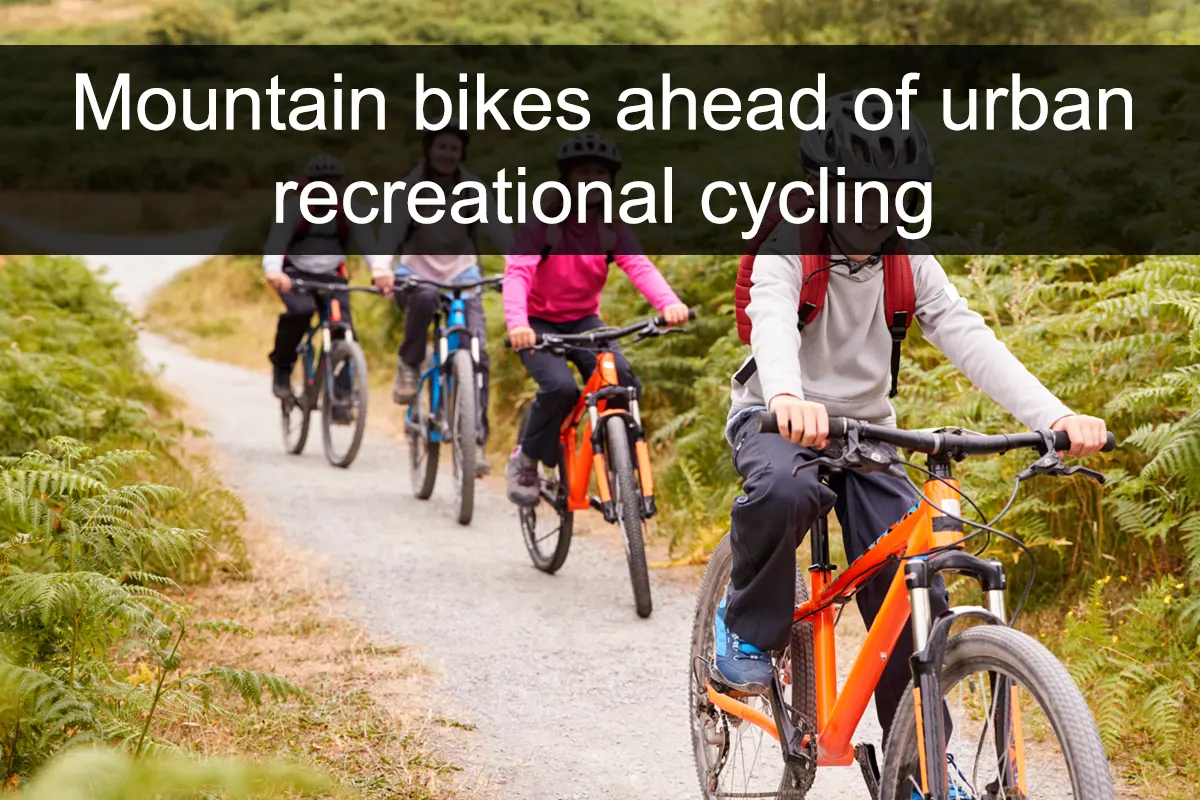 Explore the e-bike market demand and consumer boom in Germany
