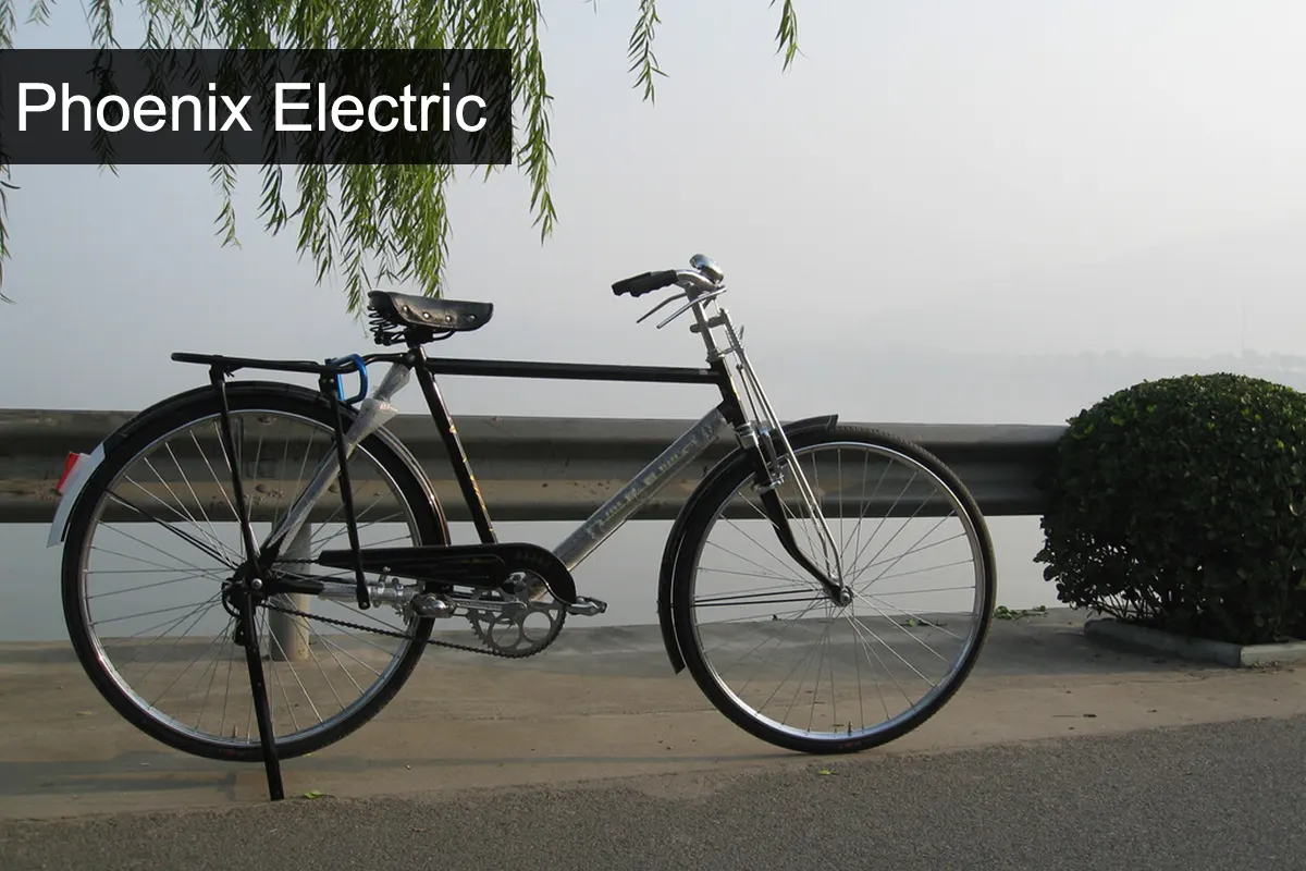 New consumption highlight - bicycle economy conditions