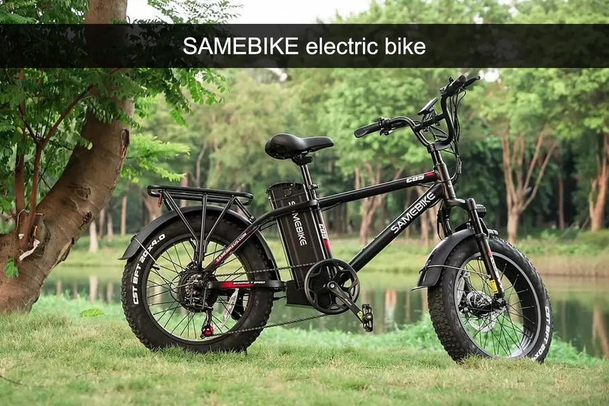 Daily maintenance of e-bike - prolong life and smooth riding