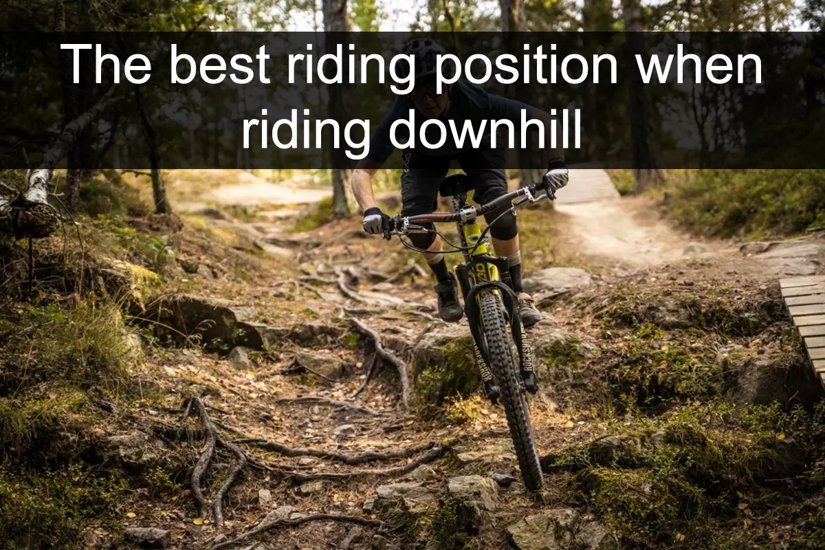 Explore the best riding position - comprehensive guidance