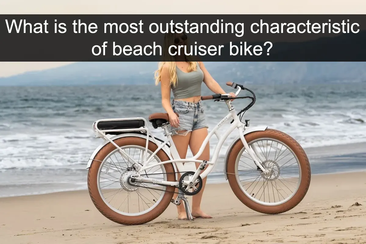 Beach cruiser bike - clear explore the most adventitious bikes