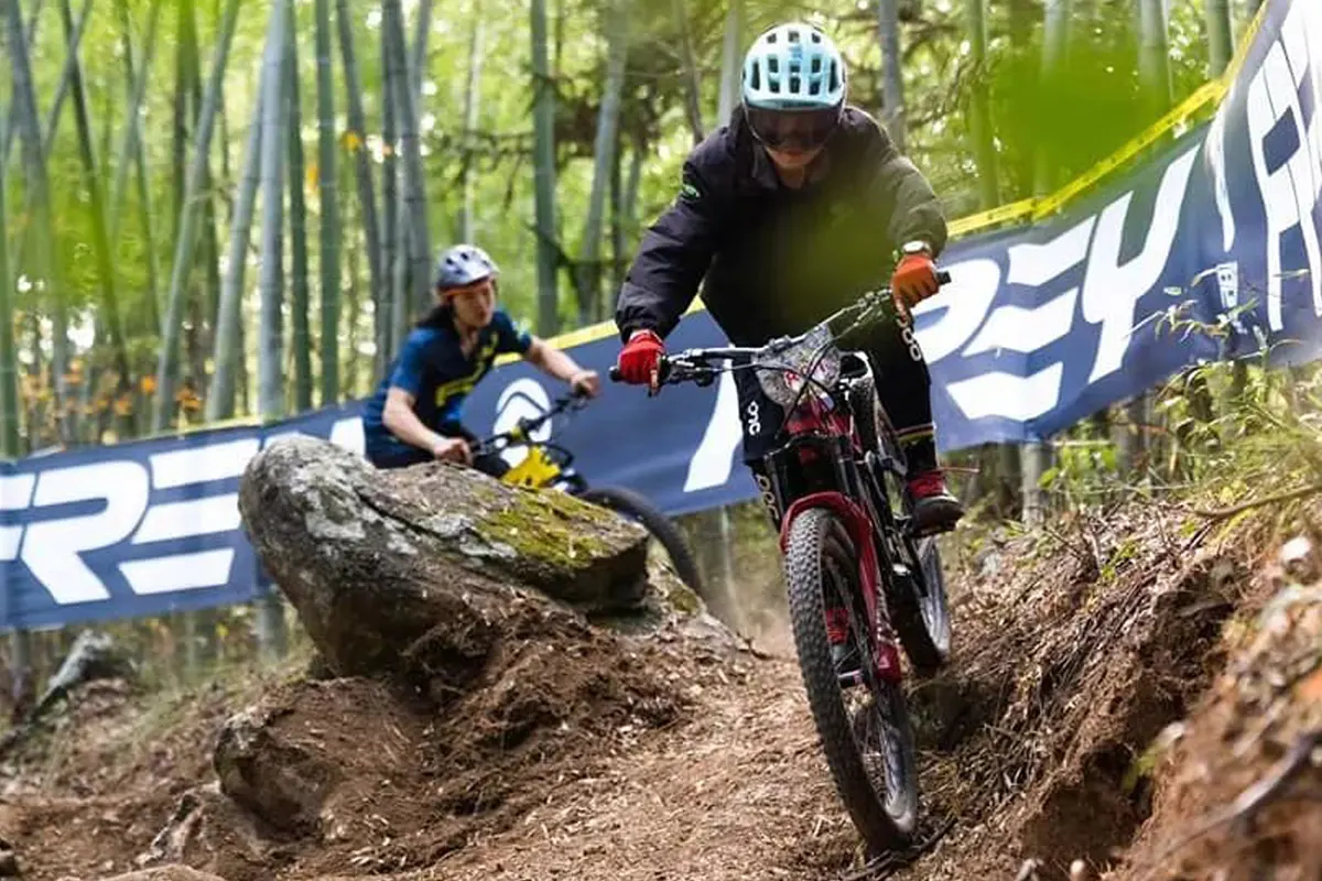 Explore the best riding position - comprehensive guidance