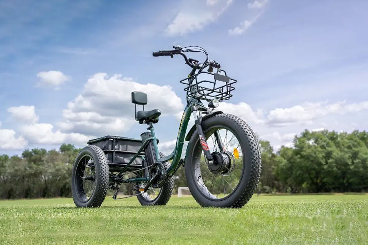 Top 5 best 3-Wheel electric bike for cyclists can buy right now