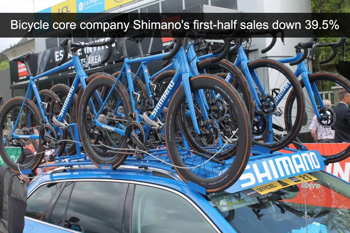 Japan's e-bike market begins to decline - sales fall below 6 million units