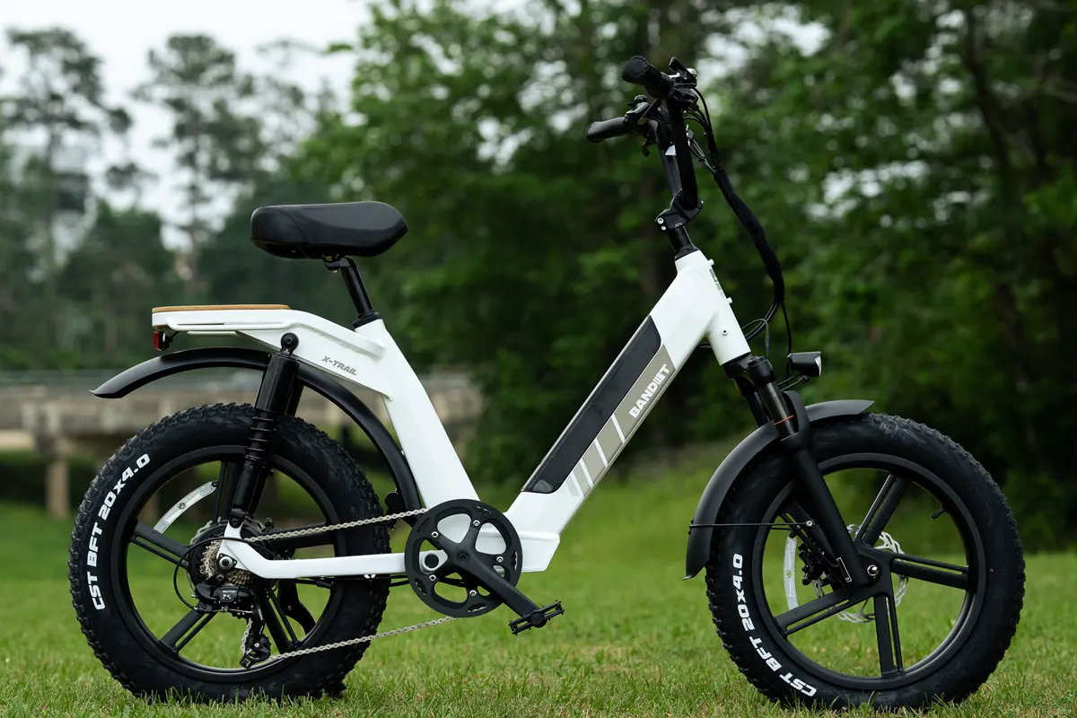Top 5 best affordable electric bike for cyclists can buy right now