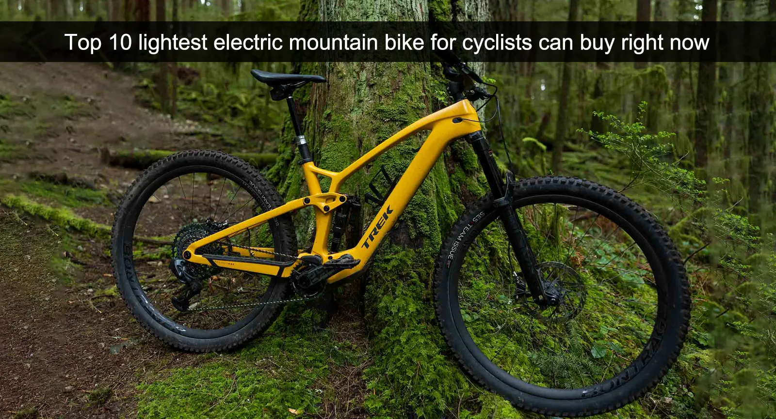 E-bike manufacturer Van Moof files for bankruptcy in the Netherlands