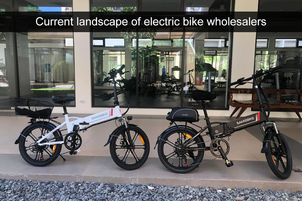 THE RISE OF ELECTRIC BIKE WHOLESALERS – FROM NICHE TO MAINSTREAM - PV ...