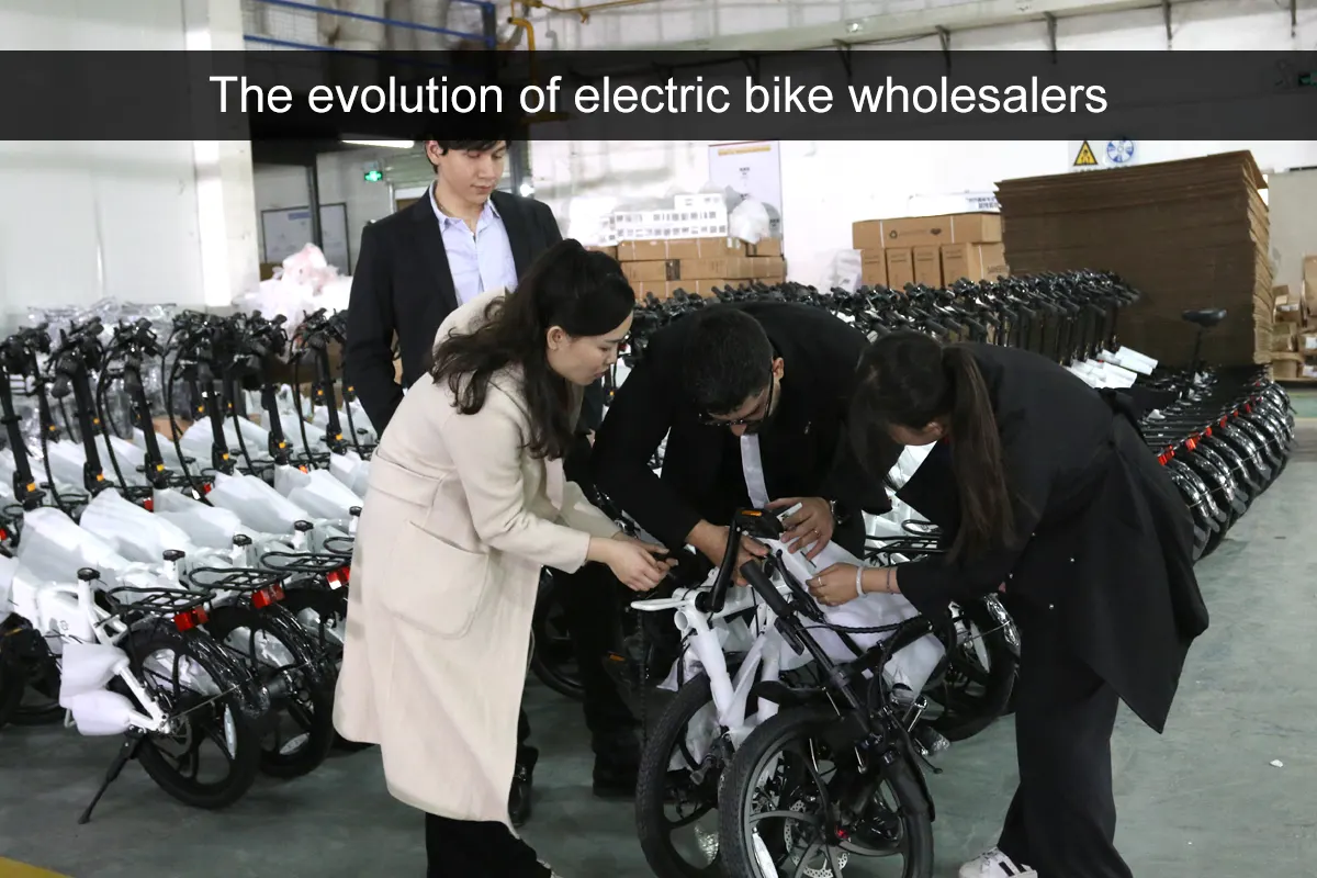 The rise of electric bike wholesalers - from niche to mainstream