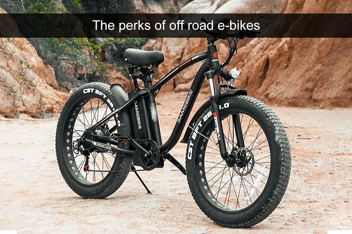 Off road e-bikes science - powering innovation for the future
