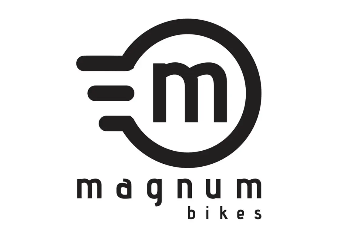 Best top 10 electric bike manufacturers in Canada