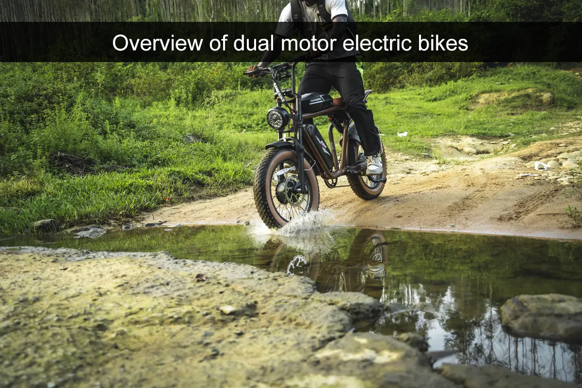 Dual motor electric bike for unmatched performance