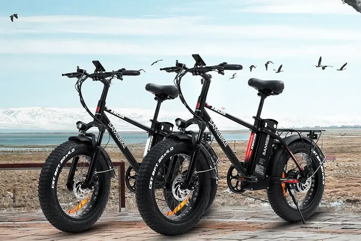 Best top 10 Taiwan electric bike manufacturers