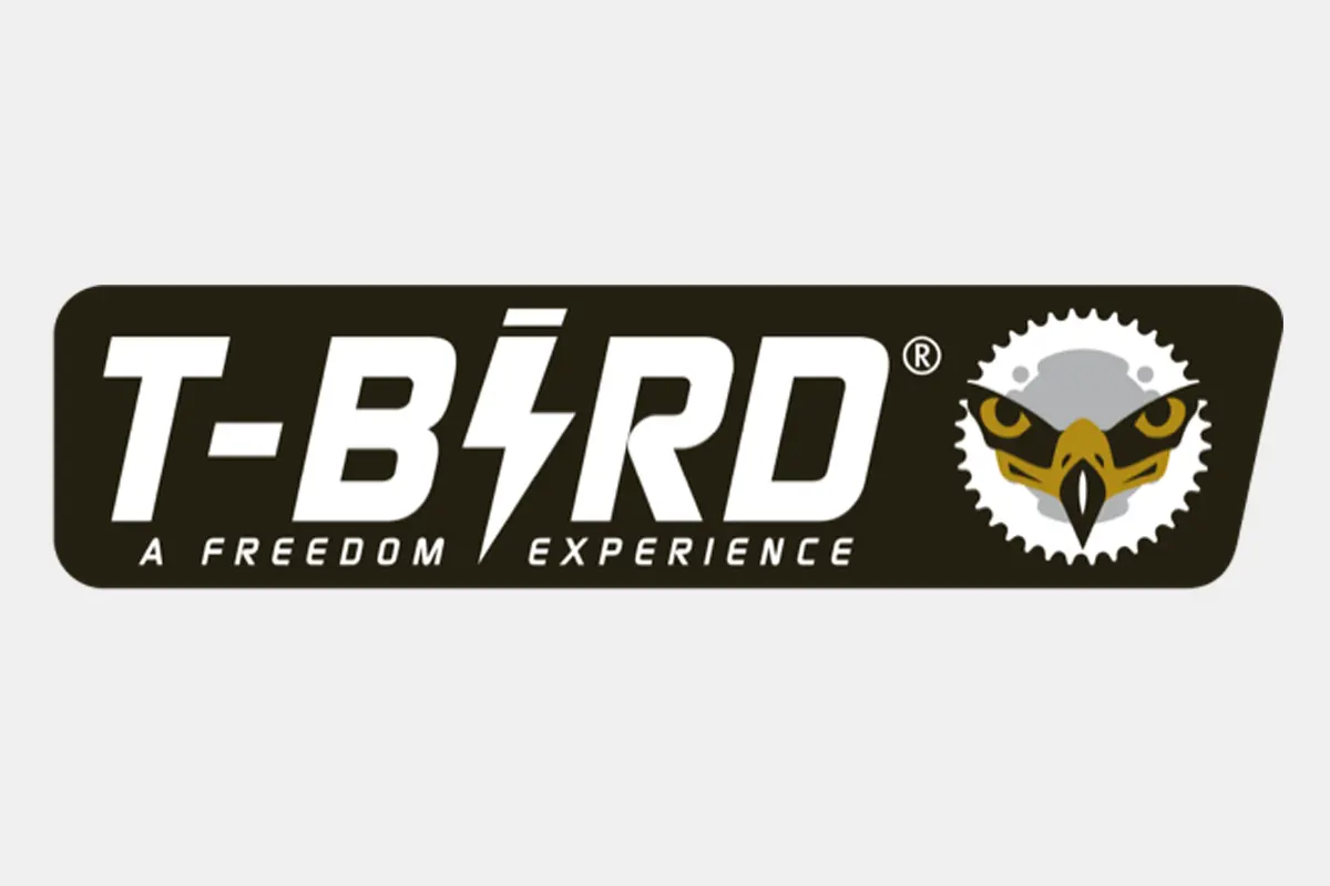 Best top 10 electric bike manufactures in France