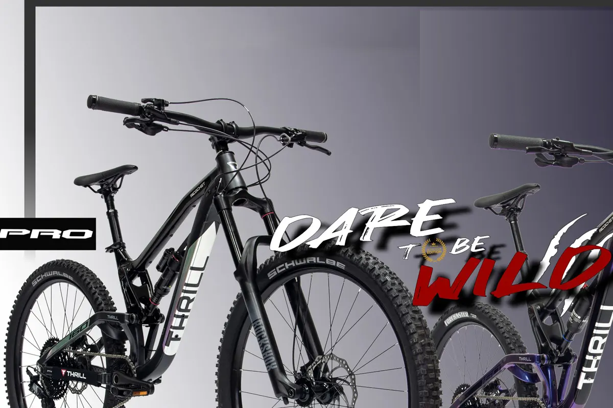 Best top 10 electric bike manufacturers in Southeast Asia