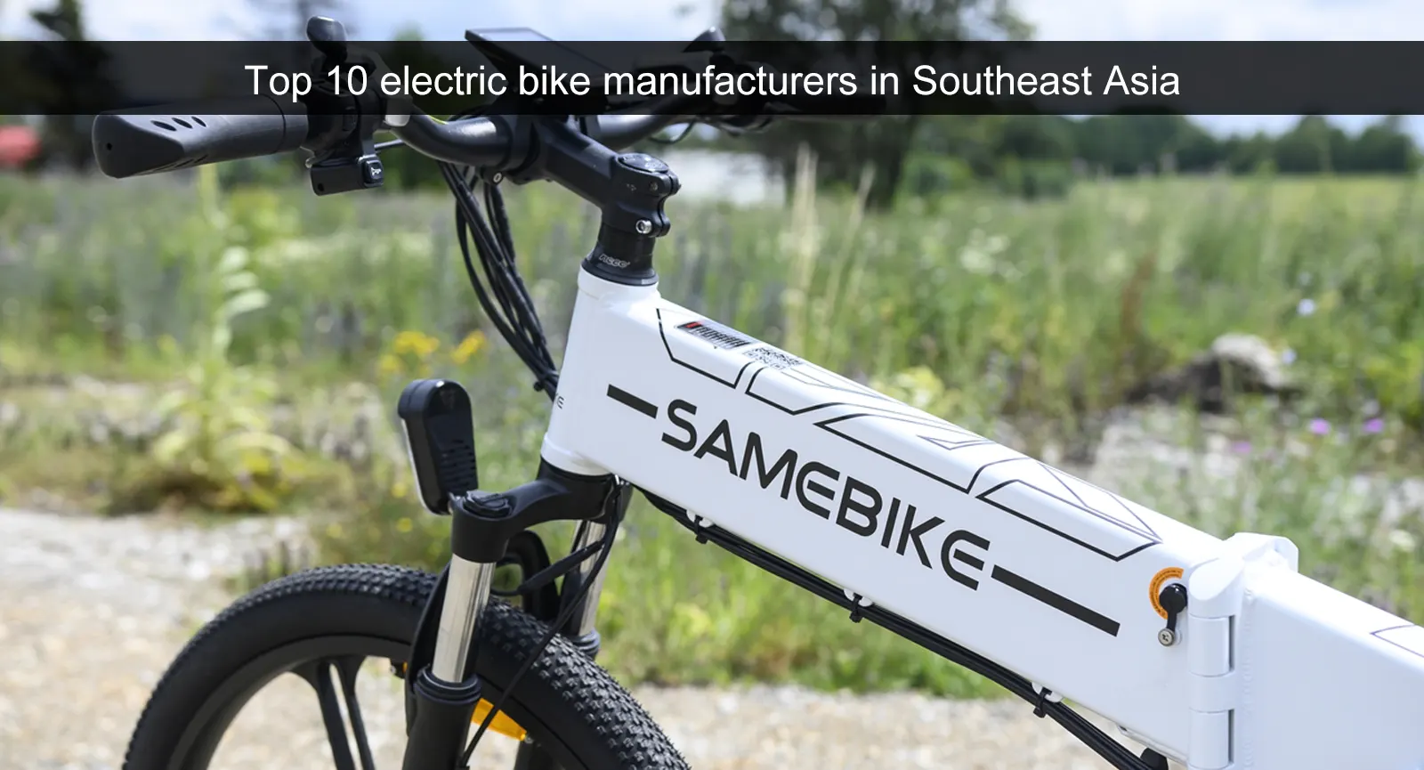 Best top 10 electric bike manufacturers in Southeast Asia