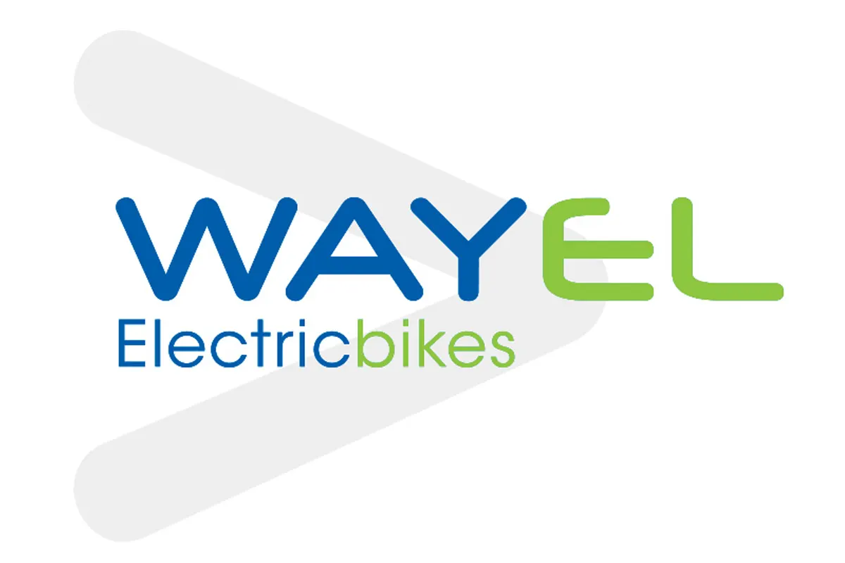 I 10 migliori produttori di biciclette elettriche in Italia