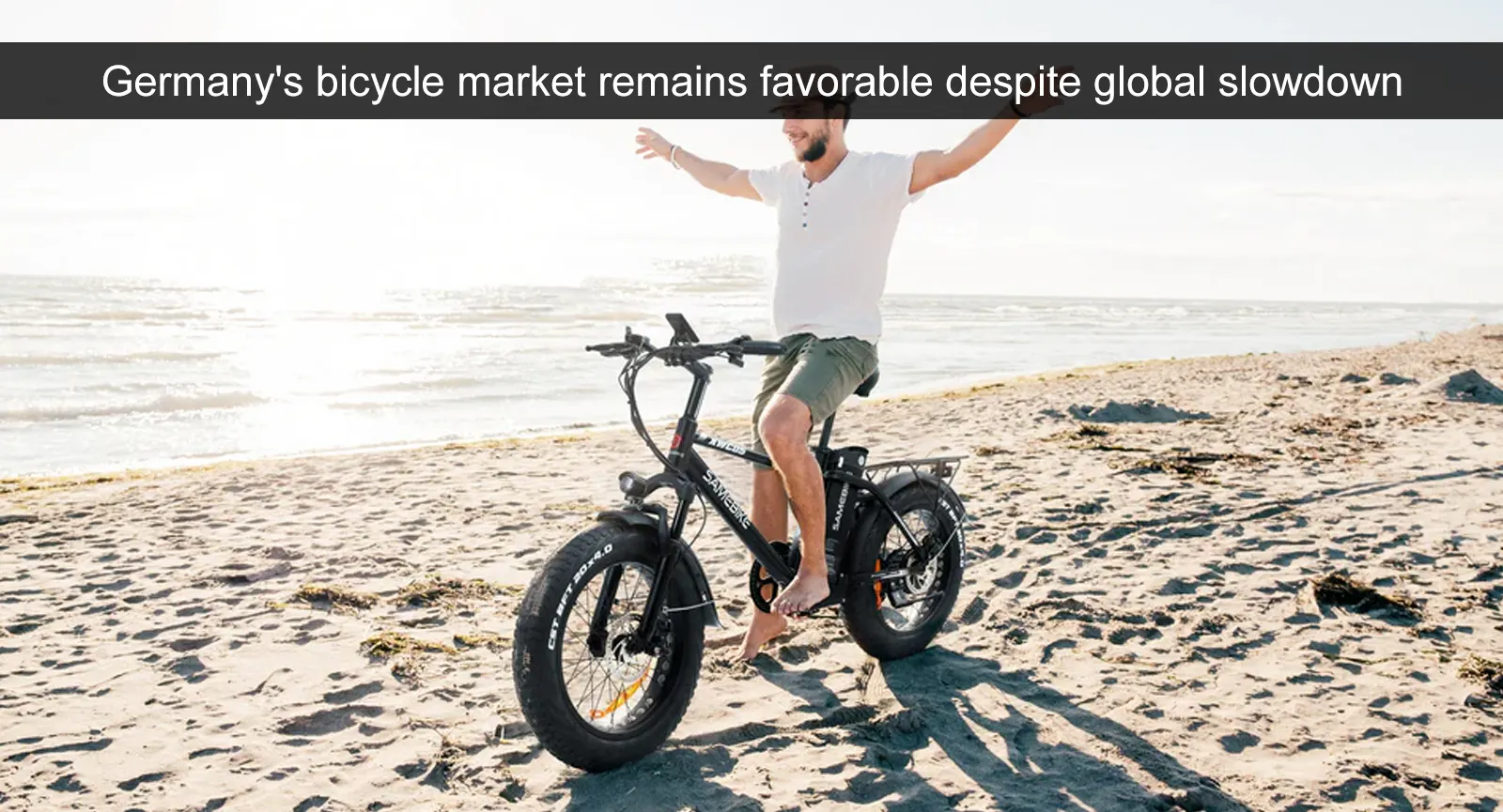Germany's bike market resilient amid global slowdown