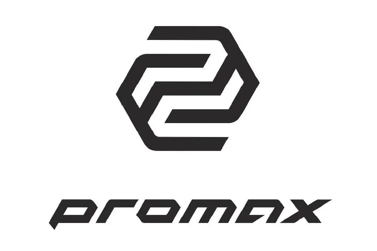 Best top 10 Taiwan electric bike manufacturers