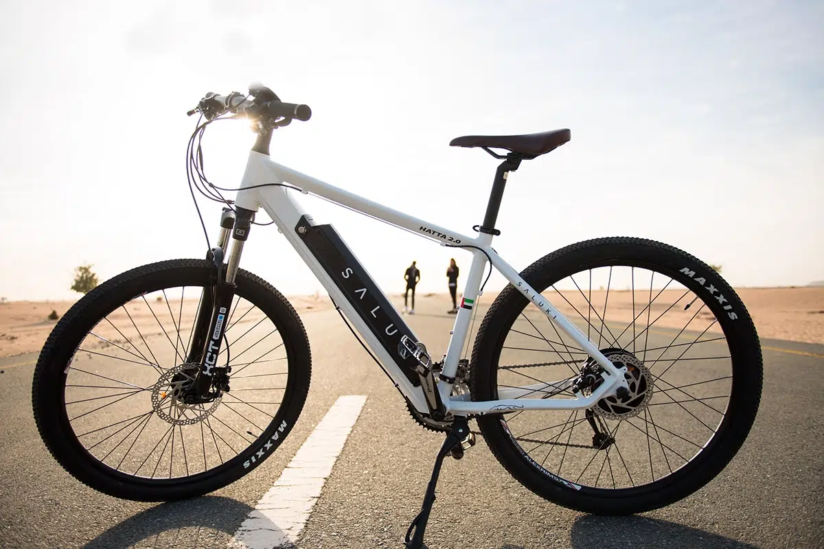Best top 10 electric bike manufacturers in the UAE