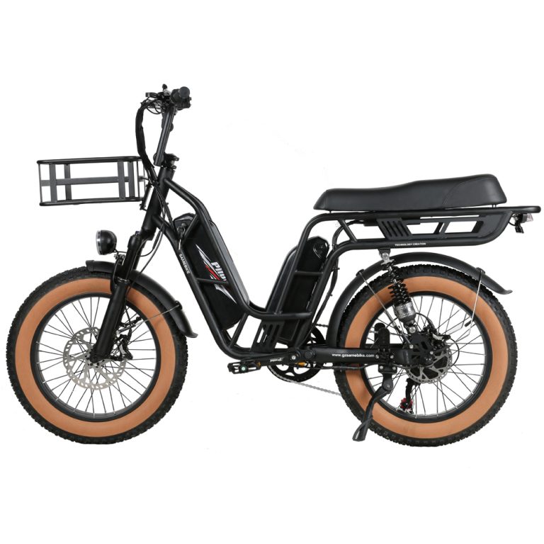 Wholesale SAMEBIKE DY08 delivery step-through all-terrian with 2 ...