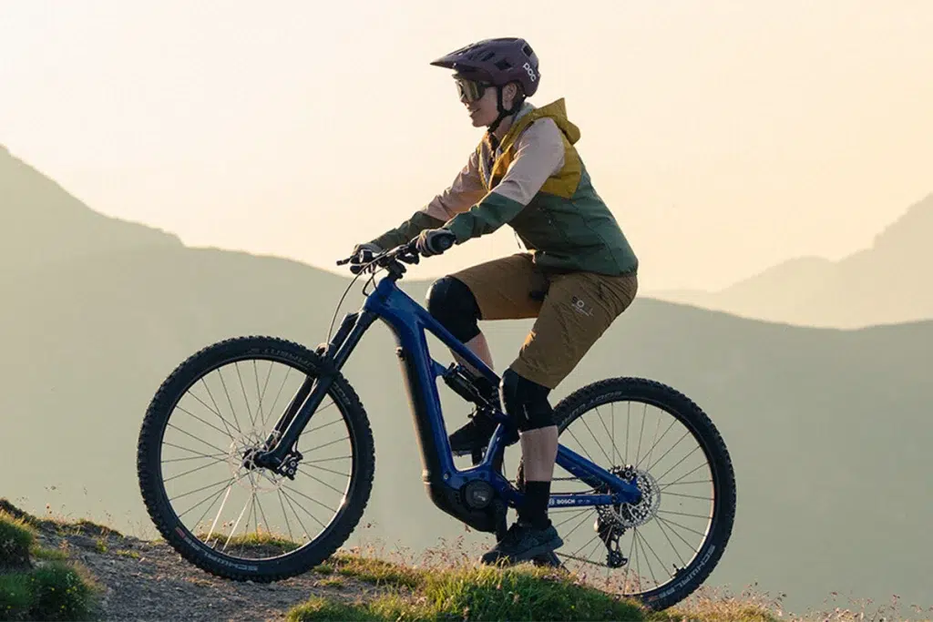 Best top 10 mid-drive motor manufacturers in the world