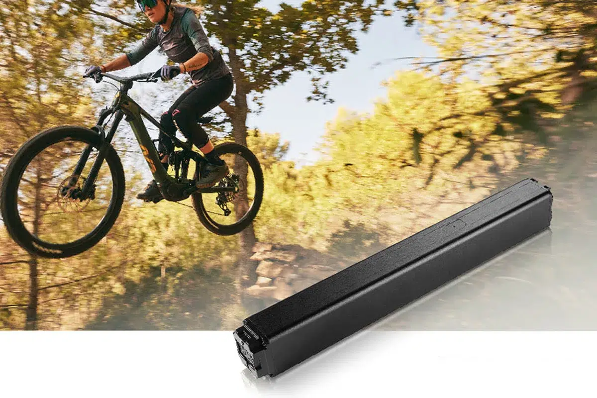 Best top 10 e-bike battery manufacturers in the world