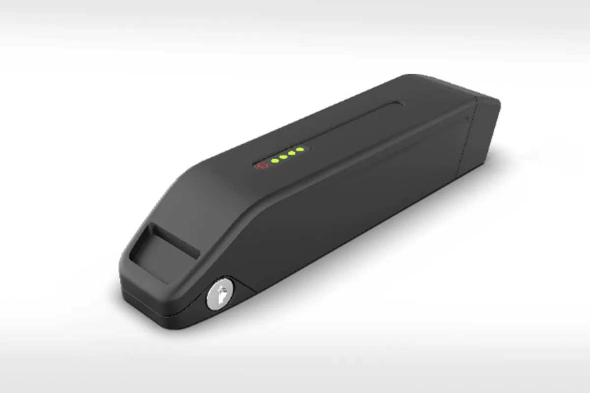 Best top 10 e-bike battery manufacturers in the world
