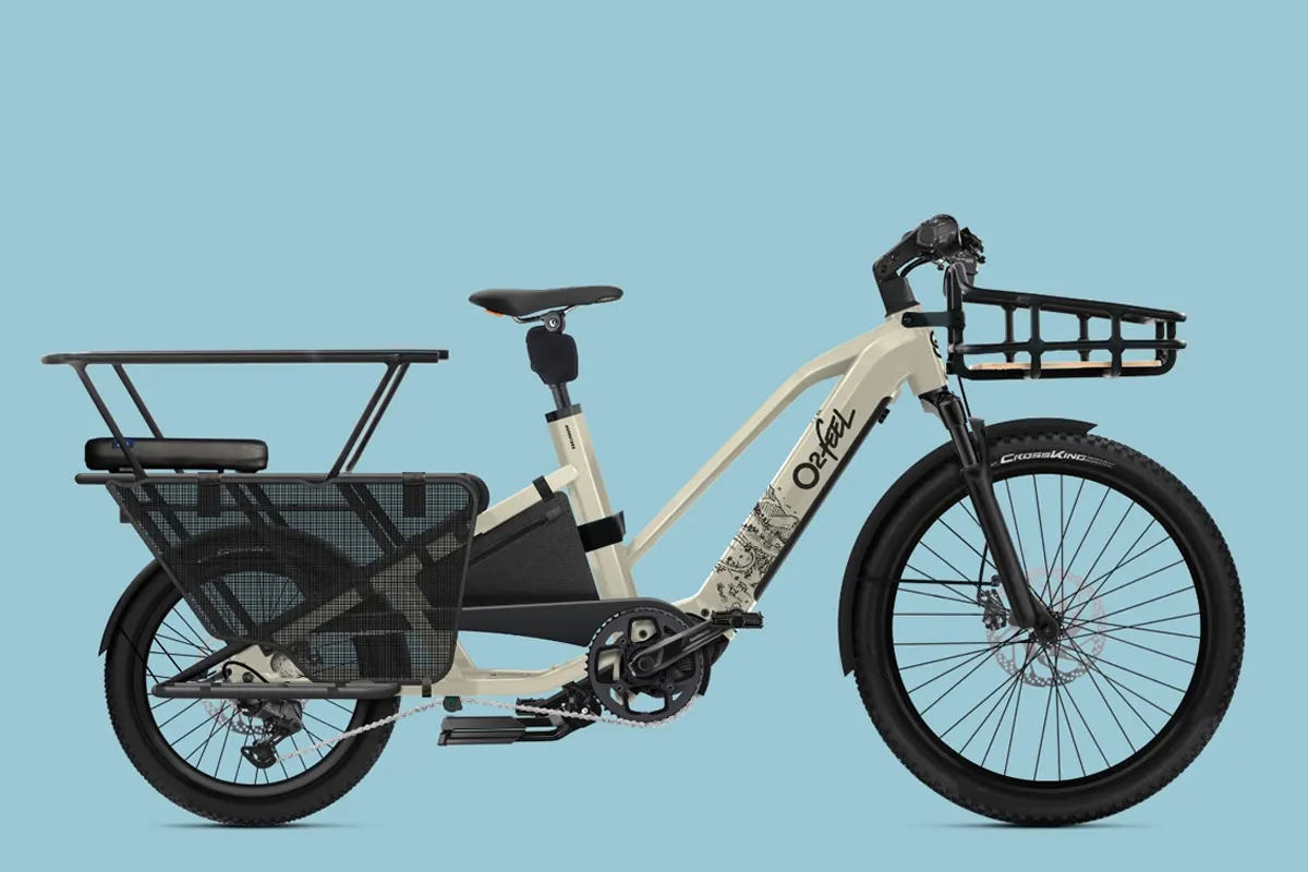 Best top 10 cargo e-bike manufacturers in France